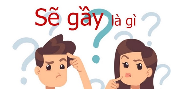 Sẽ Gầy Là Gì? Sự Thật Sẽ Khiến Bạn Bất Ngờ